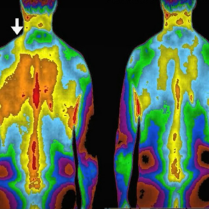 Simple At-Home Test for Zinc Deficiency | Healthy Home Economist