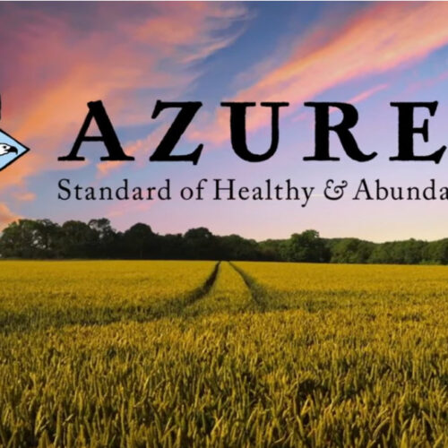 How to Care for Live Kefir Grains | Healthy Home Economist