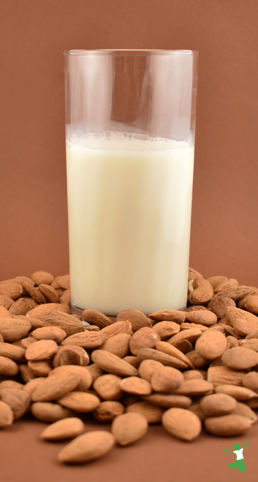 Sprouted Almond Milk | Healthy Home Economist