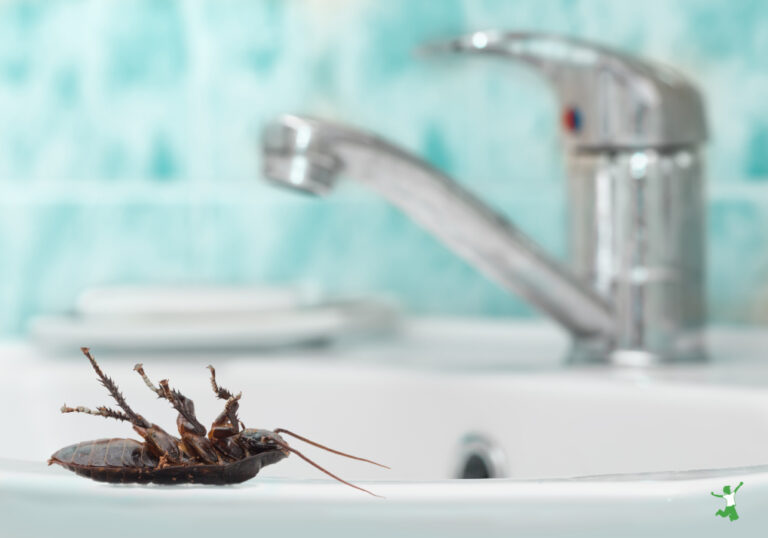 Top 10 Bugs. Control with Poison! | Healthy Home Economist