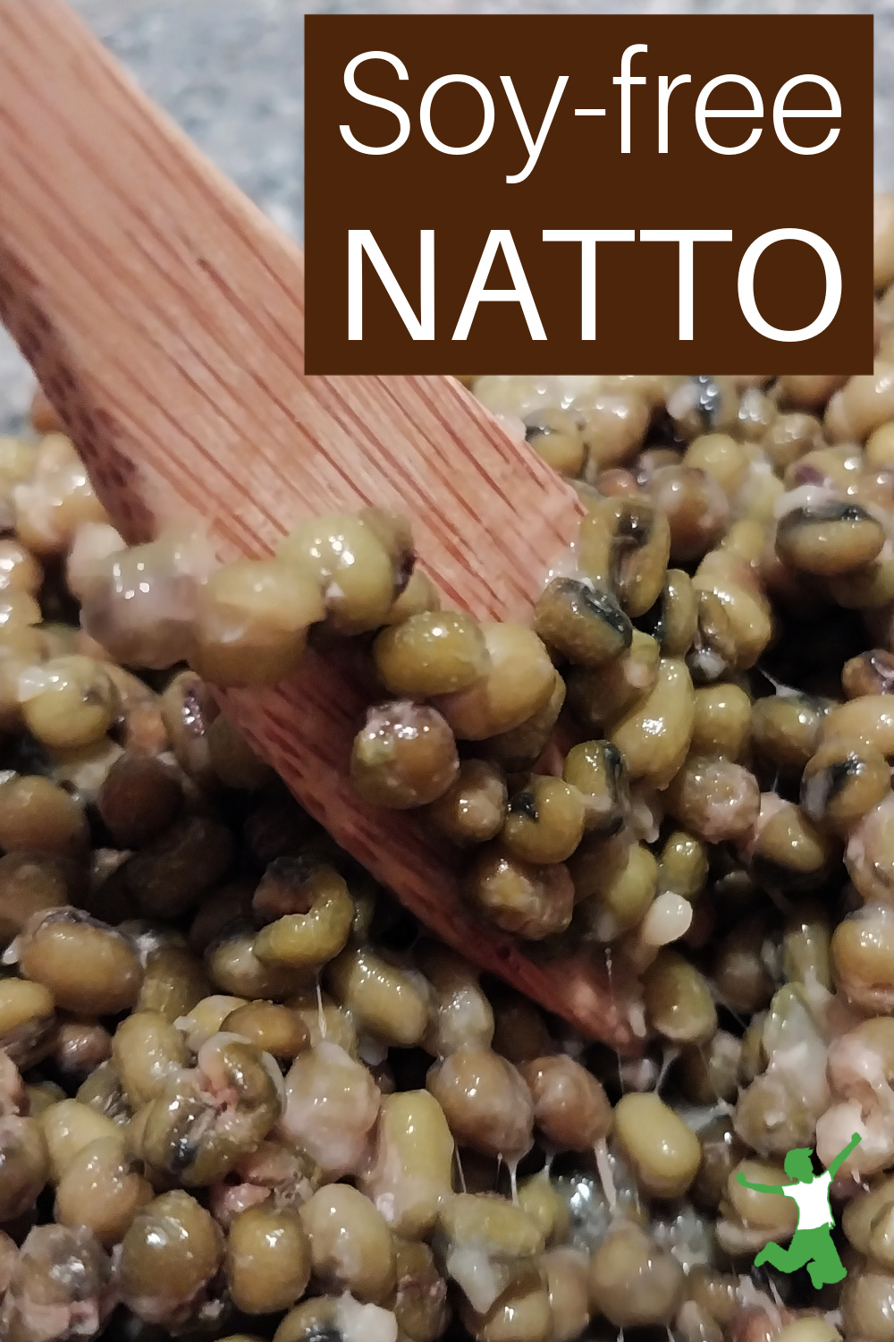 Soy-Free Natto Recipe | Healthy Home Economist
