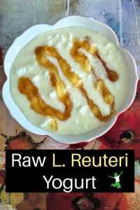 Raw L. Reuteri Yogurt Recipe | Healthy Home Economist