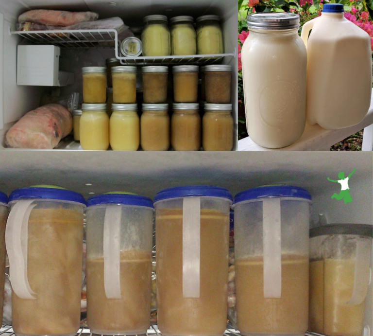 Best Containers for Freezing Food | Healthy Home Economist