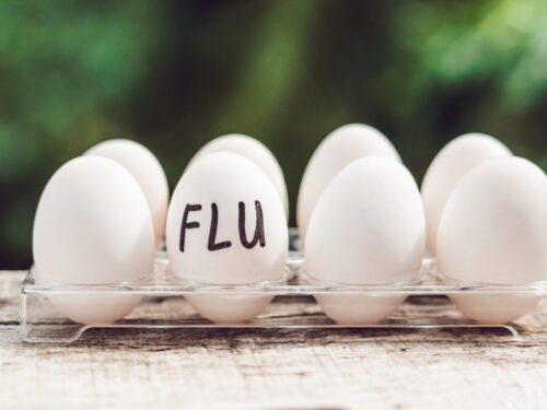 Traditional Diet, Holistic Health and Green Living | Healthy Home Economist