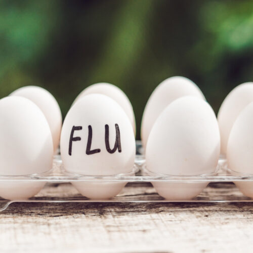 What is Karo Syrup and is it Healthy? | Healthy Home Economist