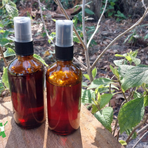 American BeautyBerry Bug Spray | Healthy Home Economist