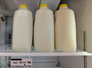 Homemade Water Buffalo Milk Baby Formula | Healthy Home Economist