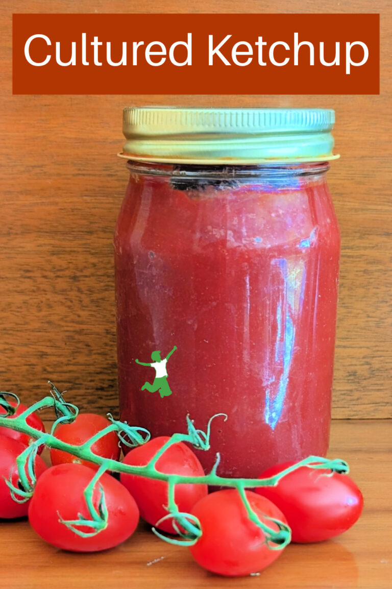Fermented Ketchup (sugar-free) | Healthy Home Economist